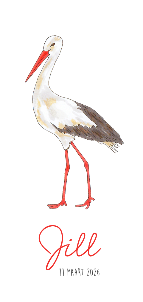 Geboortekaartjes met ooievaar maken | Hierbenik.nl