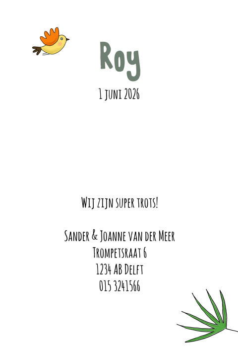 Geboortekaartjes met ooievaar maken | Hierbenik.nl