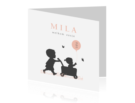 Hip geboortekaartje meisje met broertje in loopkar